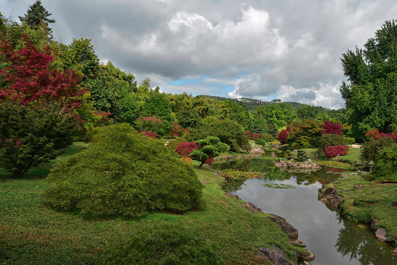 Intégrez un bassin d’eau à votre espace vert : guide pratique